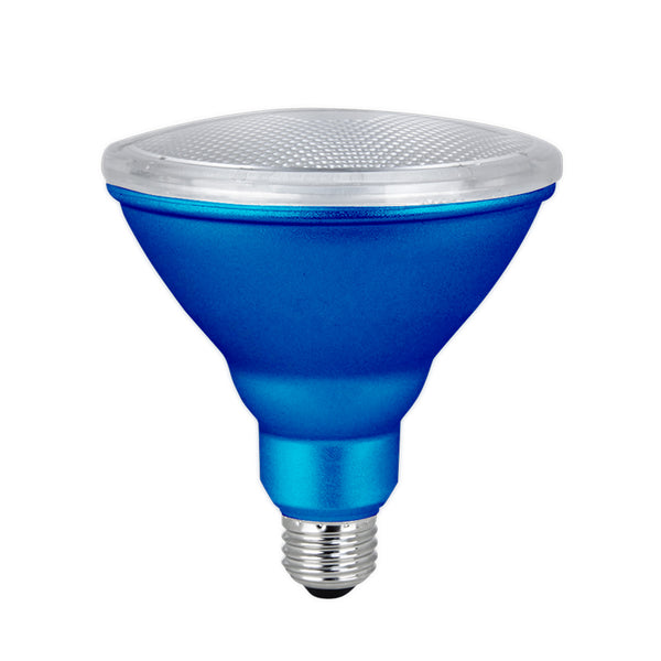 LED Bulb PAR38, Blue / Outdoor - GAGNON - La Grande Quincaillerie
