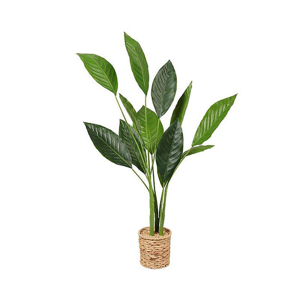 Real Touch ''Bird of Paradise'' Plant - GAGNON - La Grande Quincaillerie