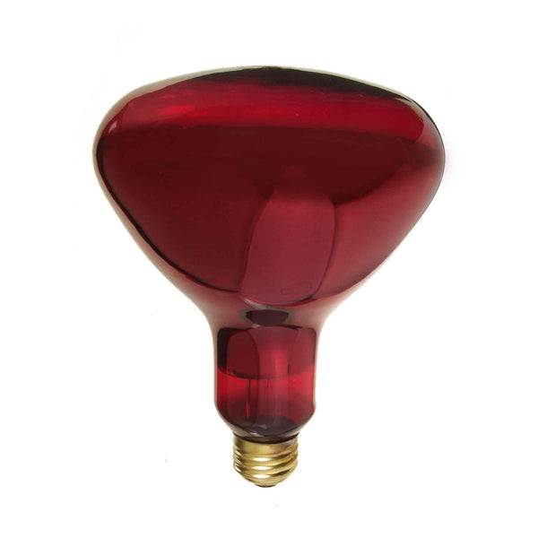 InfraRed Heat Lamp, R40 - GAGNON - La Grande Quincaillerie