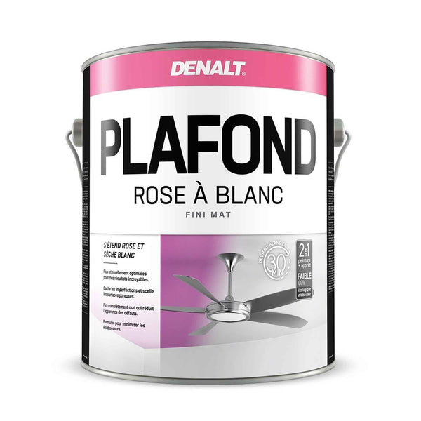 Matte Pink to White Ceiling Paint and Primer, 3.7 L - GAGNON - La ...